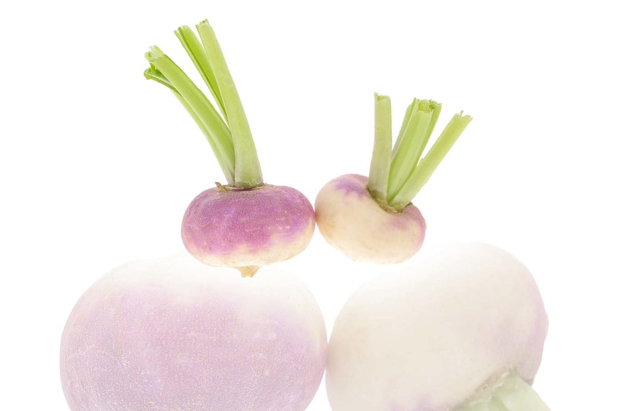 Mini Navet – moorea