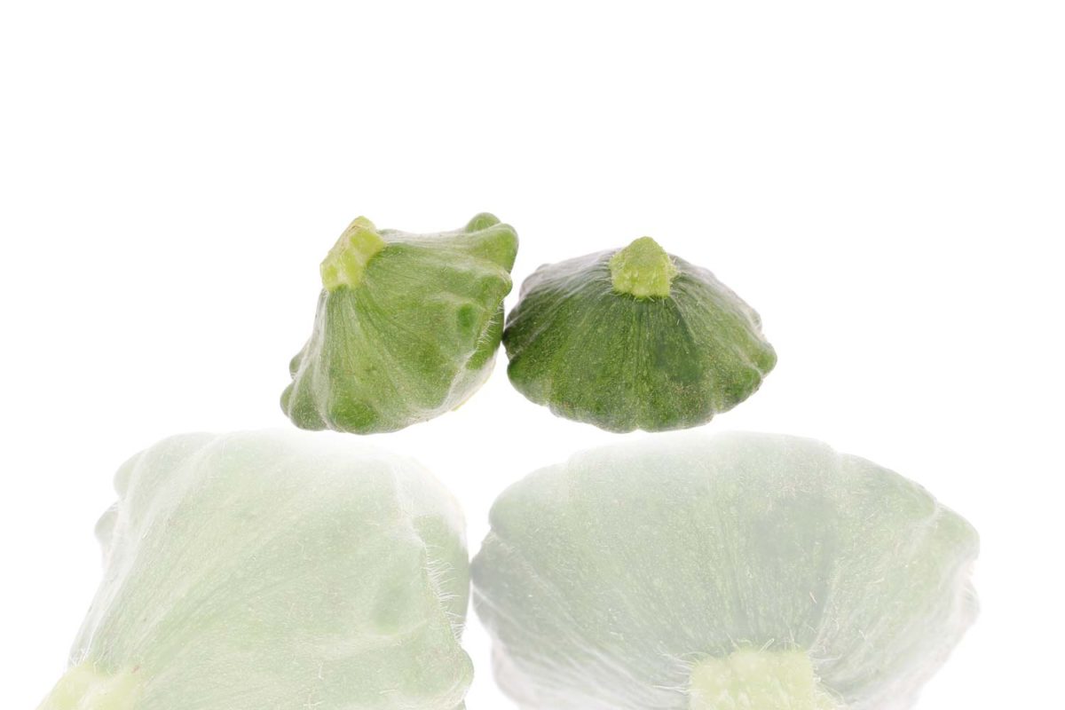 Mini Patisson vert – moorea