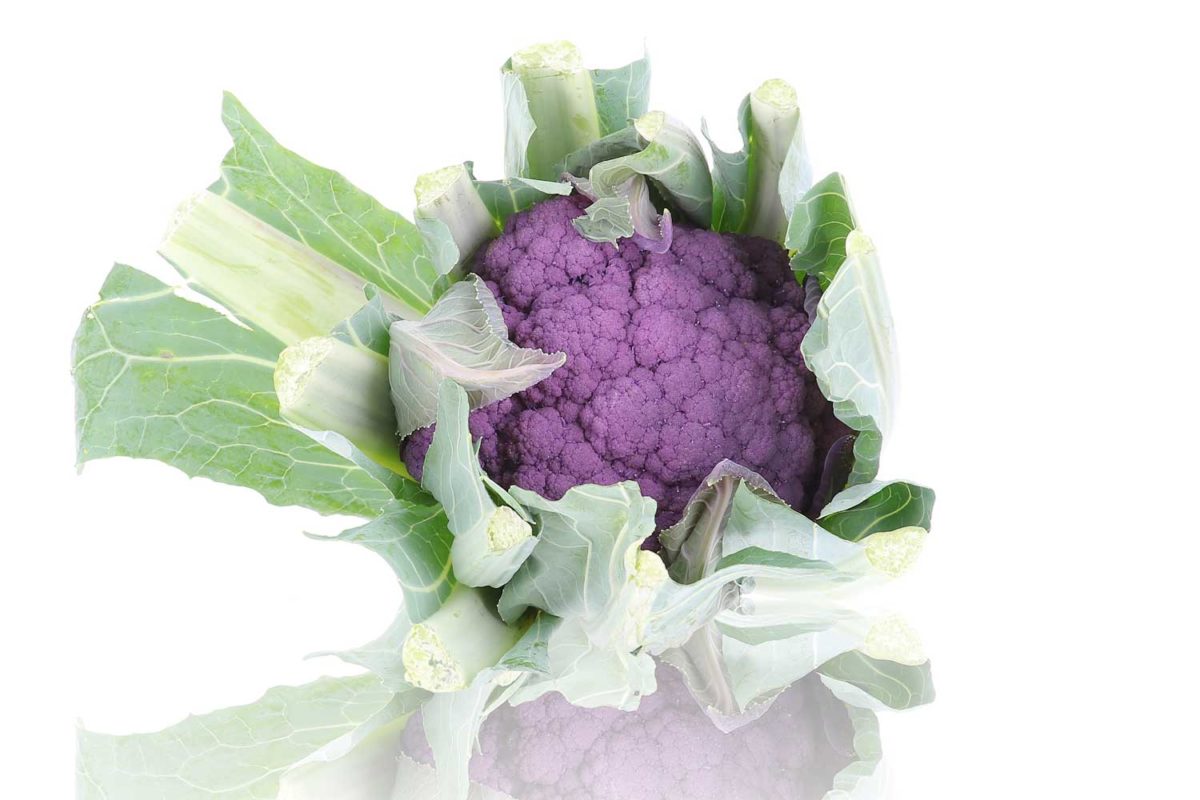 Choux fleur violet – moorea