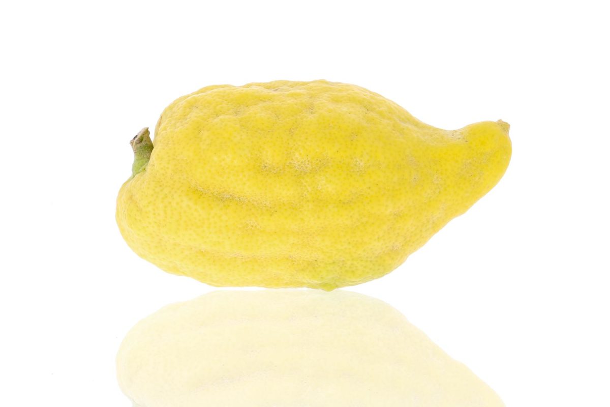 Citron Cedrat – moorea